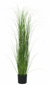 Artificial plant MARKUSFLUE H150cm grass - JYSK